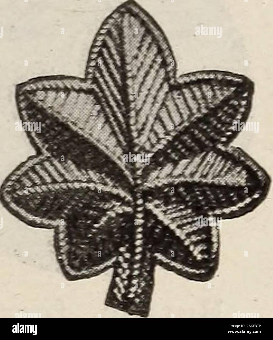 Field artilleryman's guide; . LIEUTENANT COLONEL—A silver leaf, one ...