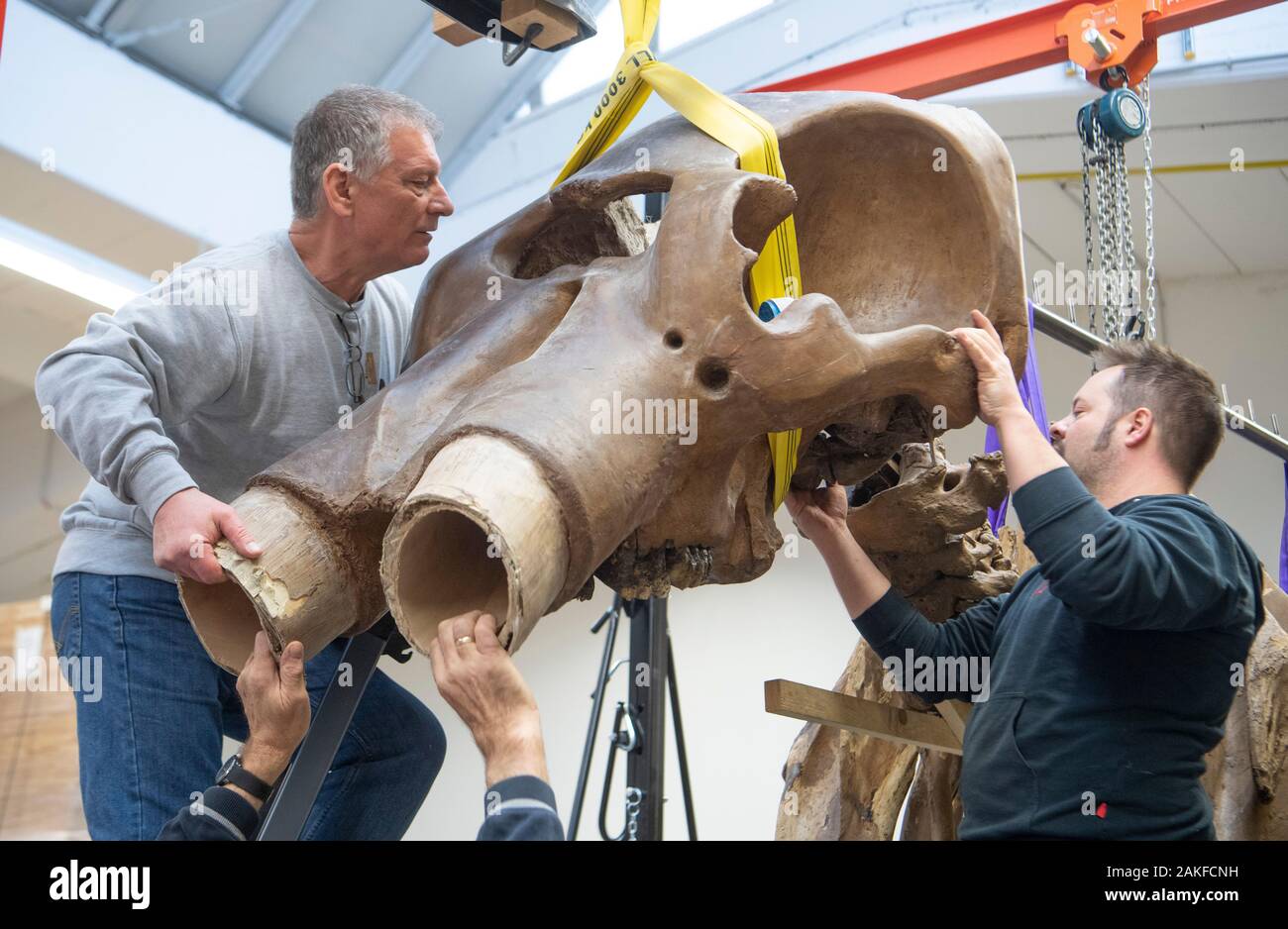 Body parts exhibition hi-res stock photography and images - Alamy