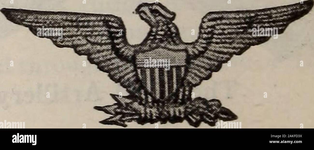 Field artilleryman's guide; . REGULATION SIZE MINIATURE COLONEL-Silver ...