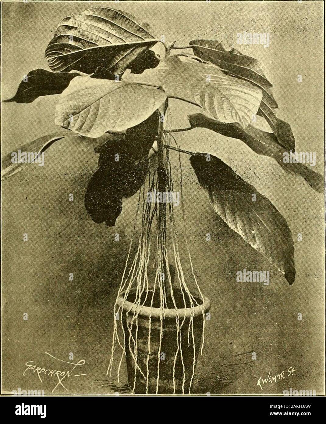 Sawley hall hi-res stock photography and images - Alamy