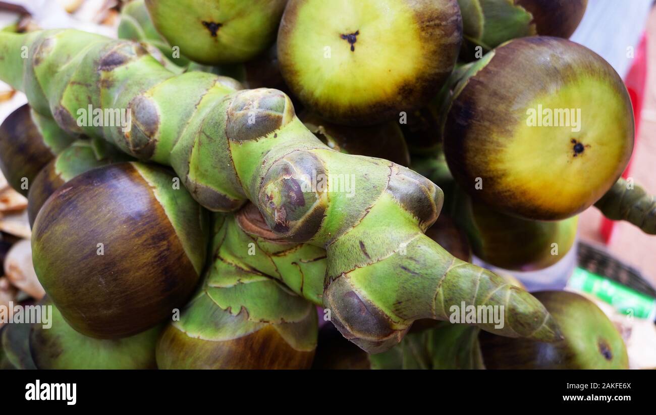 Toddy palm fruit hi-res stock photography and images - Alamy