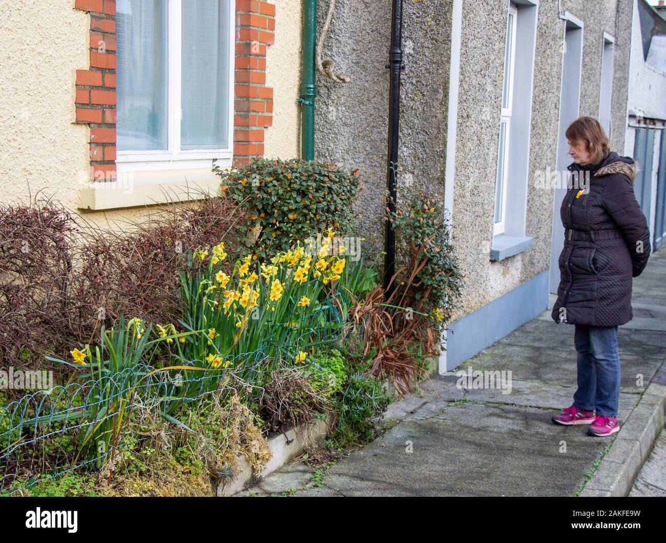 Castletownshend, West Cork, Ireland, 09th January 2020. The first ...