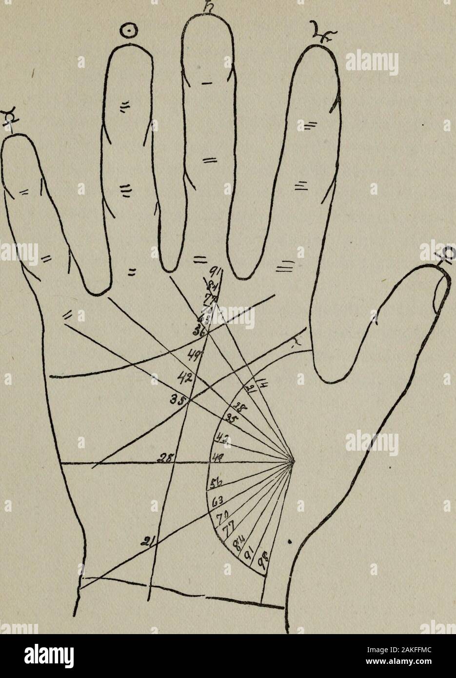 Perin's science of palmistry; a complete and authentic treatise . xty ...