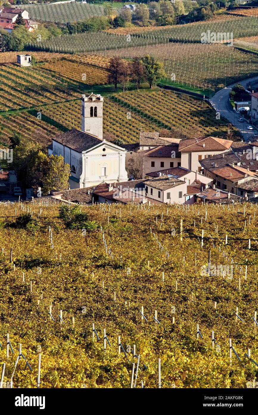 Vineyard vallagarina trentino alto adige hi-res stock photography and ...