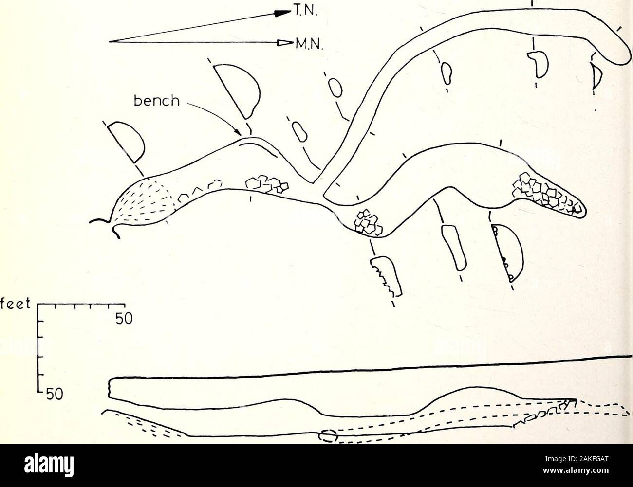 The Victorian naturalist . Fig. 4. Plan and sections of Shallow Cave ...