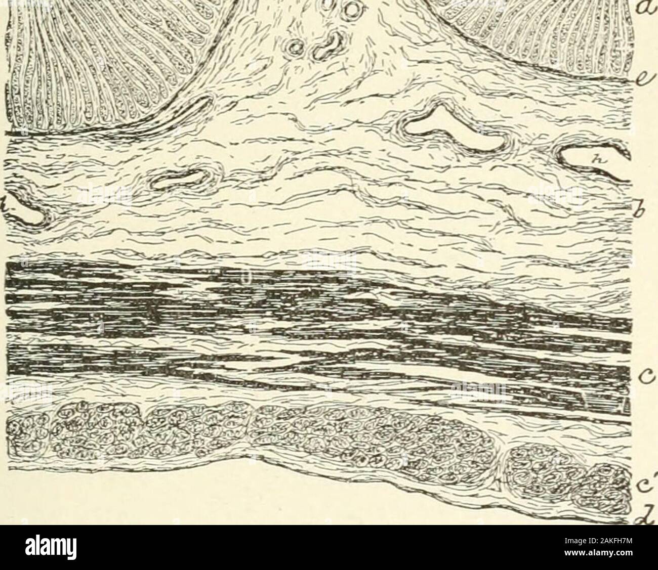 Circular tunic hi-res stock photography and images - Alamy