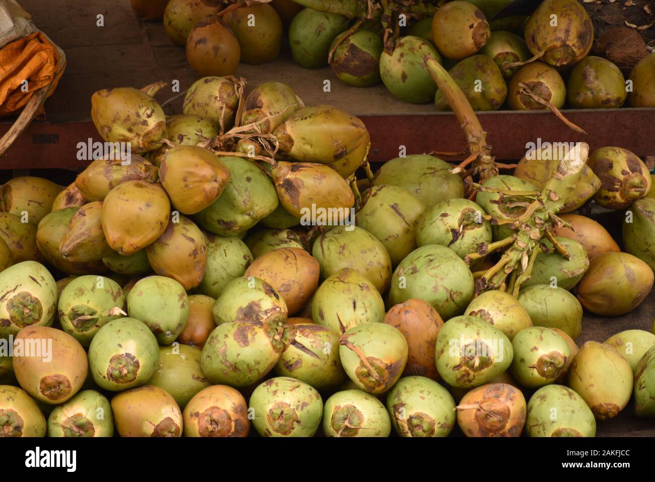 Fresh raw yellow and green coconuts fruits,placed in a stand for ...