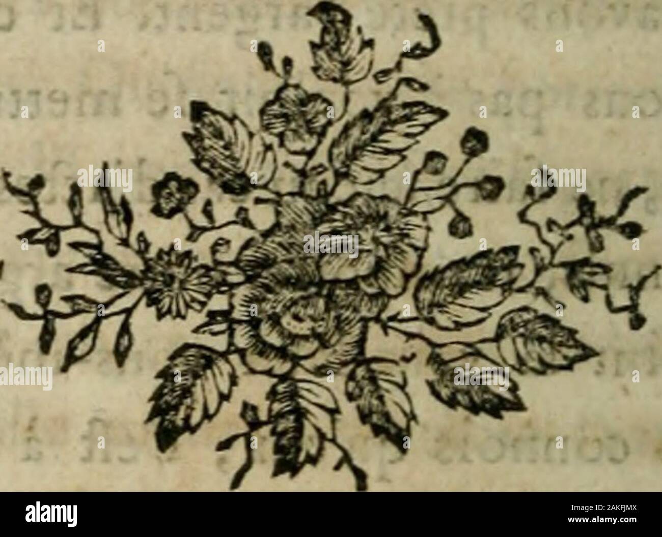 Lar font hi-res stock photography and images - Alamy