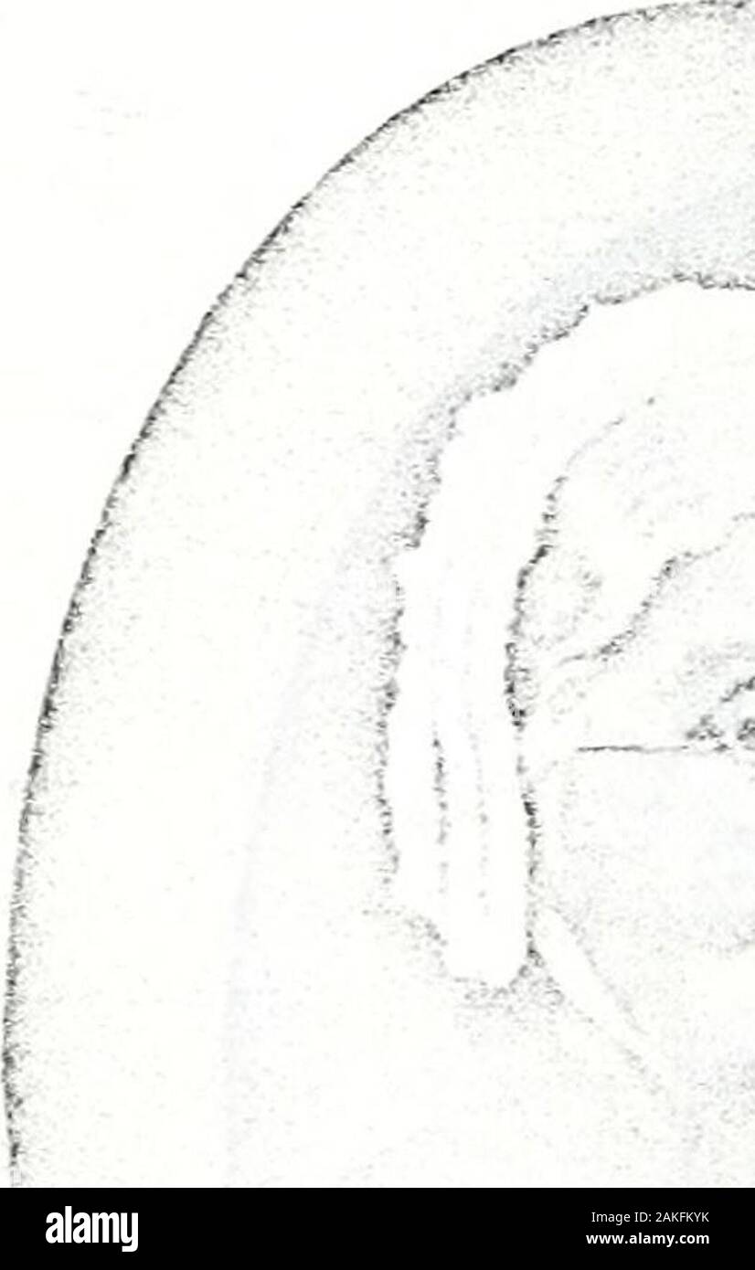 William fairfield hi-res stock photography and images - Alamy