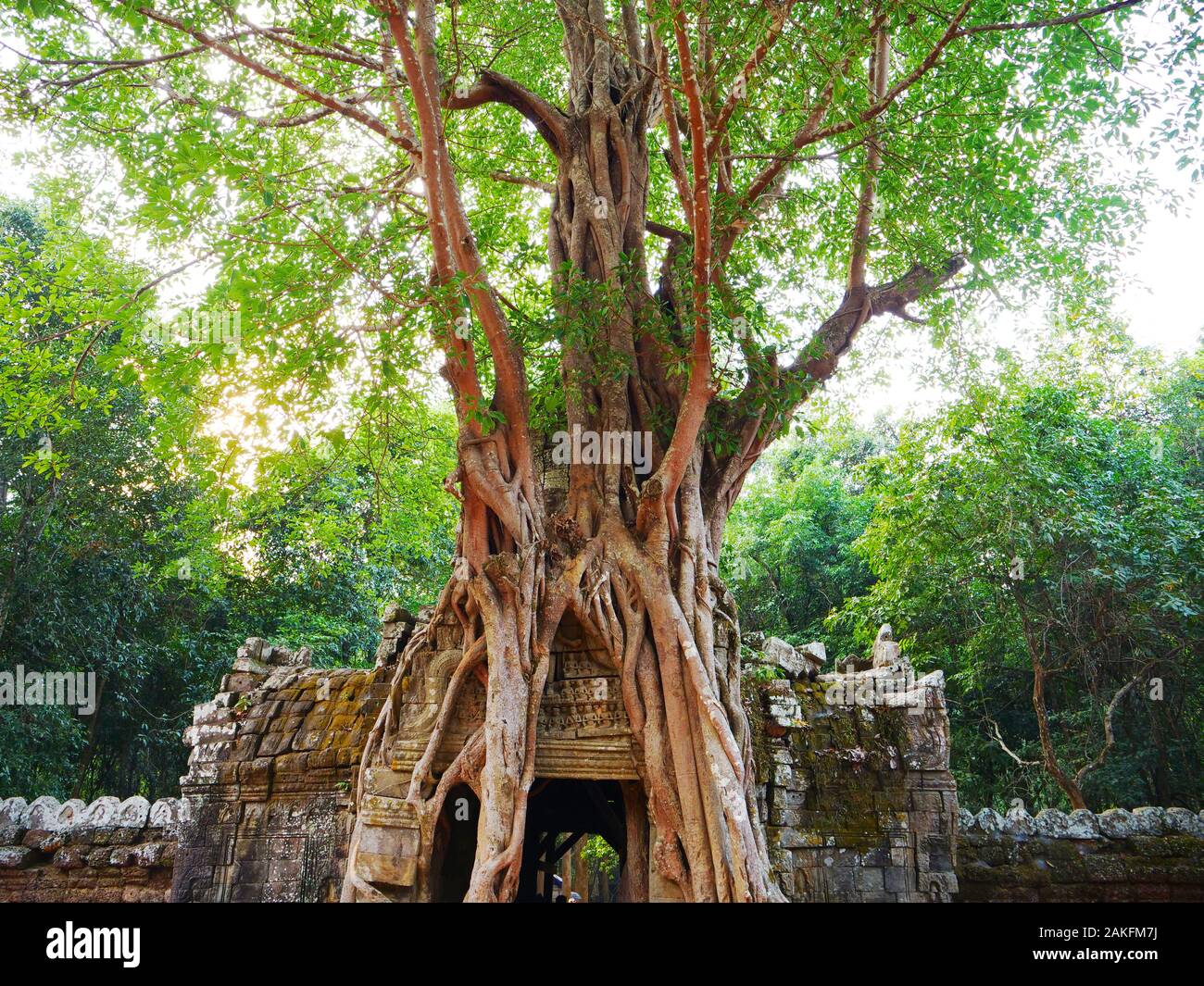 Ancient ruins of Ta Som temple in Angkor Wat complex, Siem Reap ...