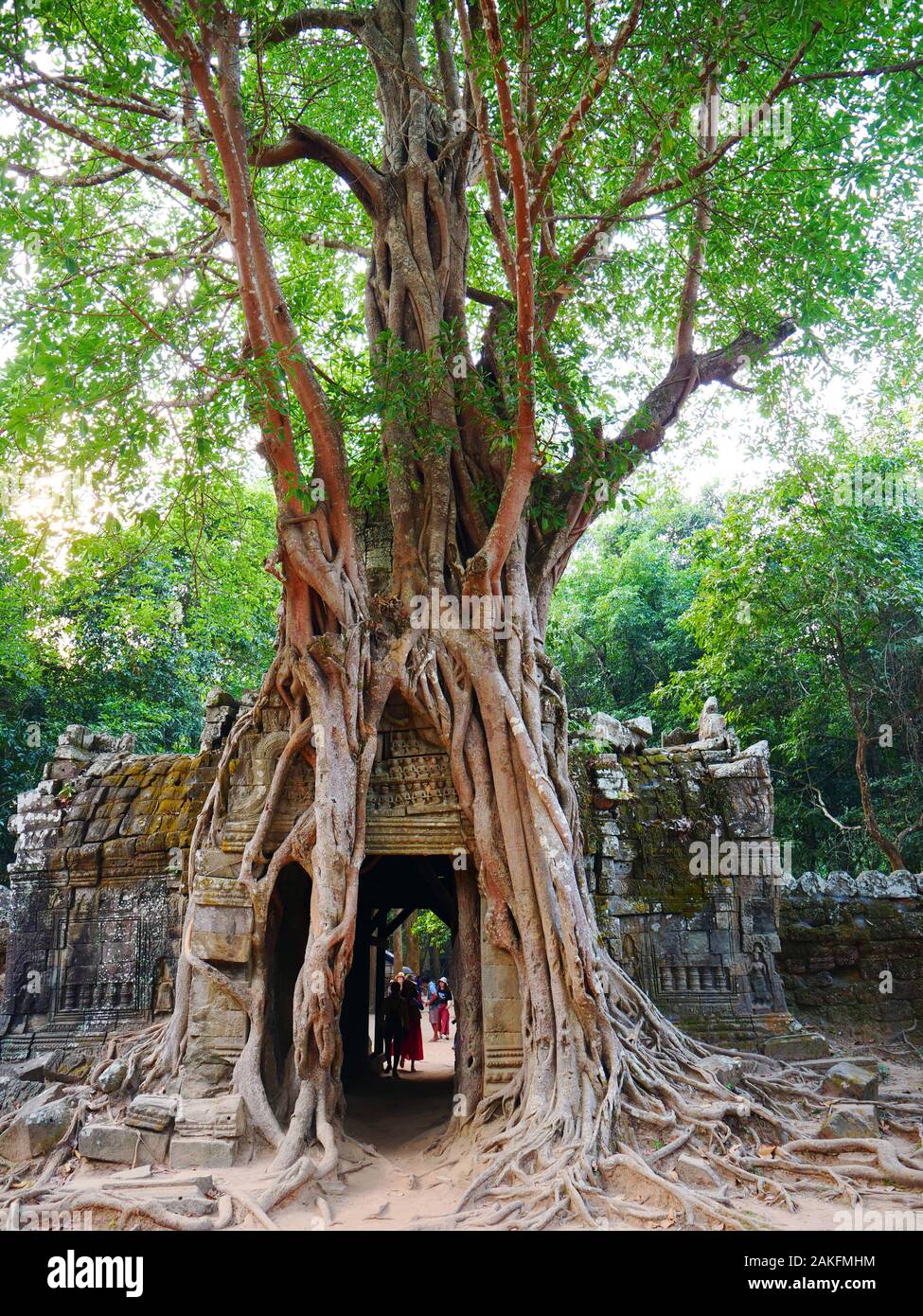 Ancient ruins of Ta Som temple in Angkor Wat complex, Siem Reap ...