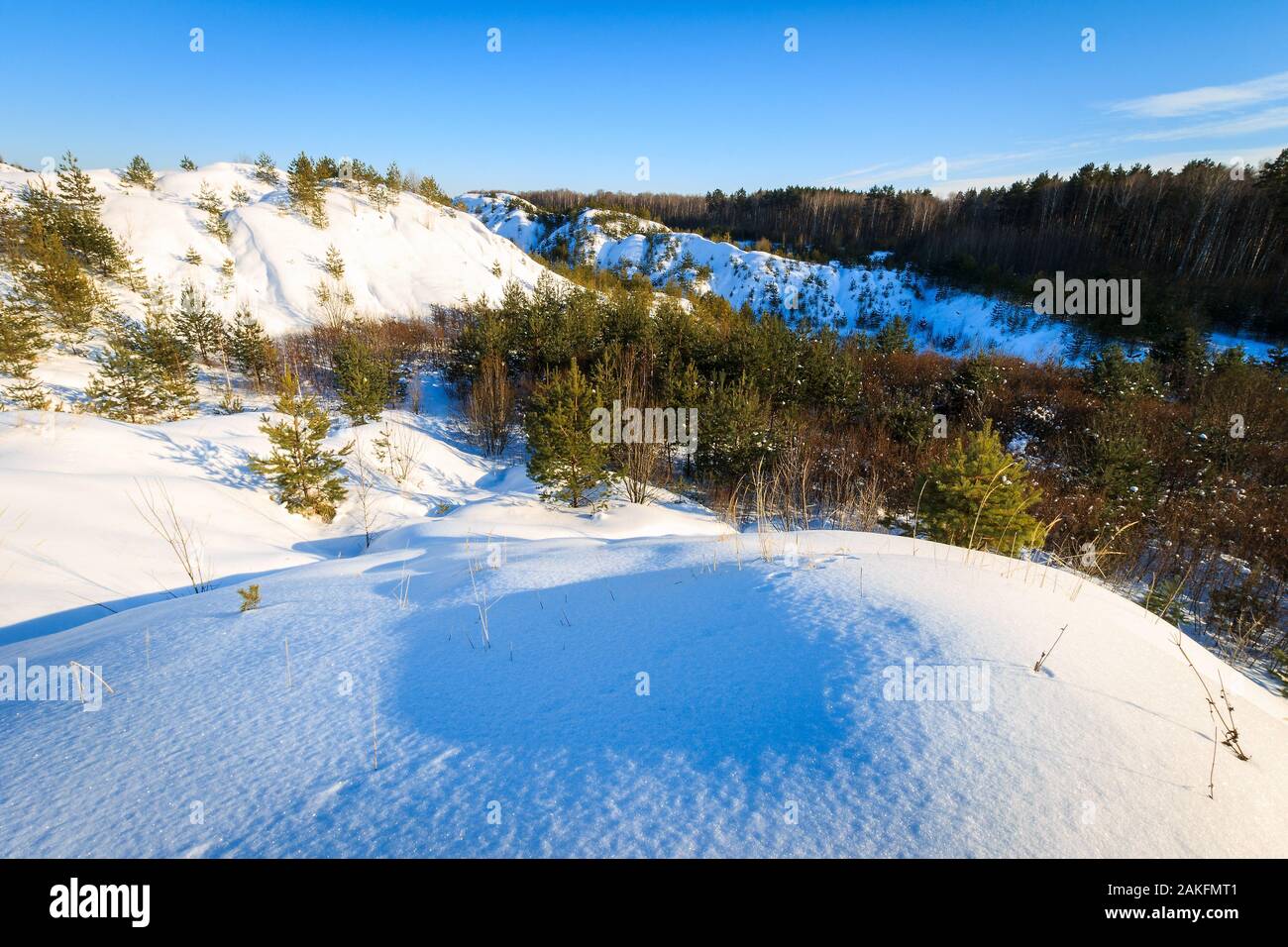 Landscape of hills covered with snow in winter with pines at foreground ...