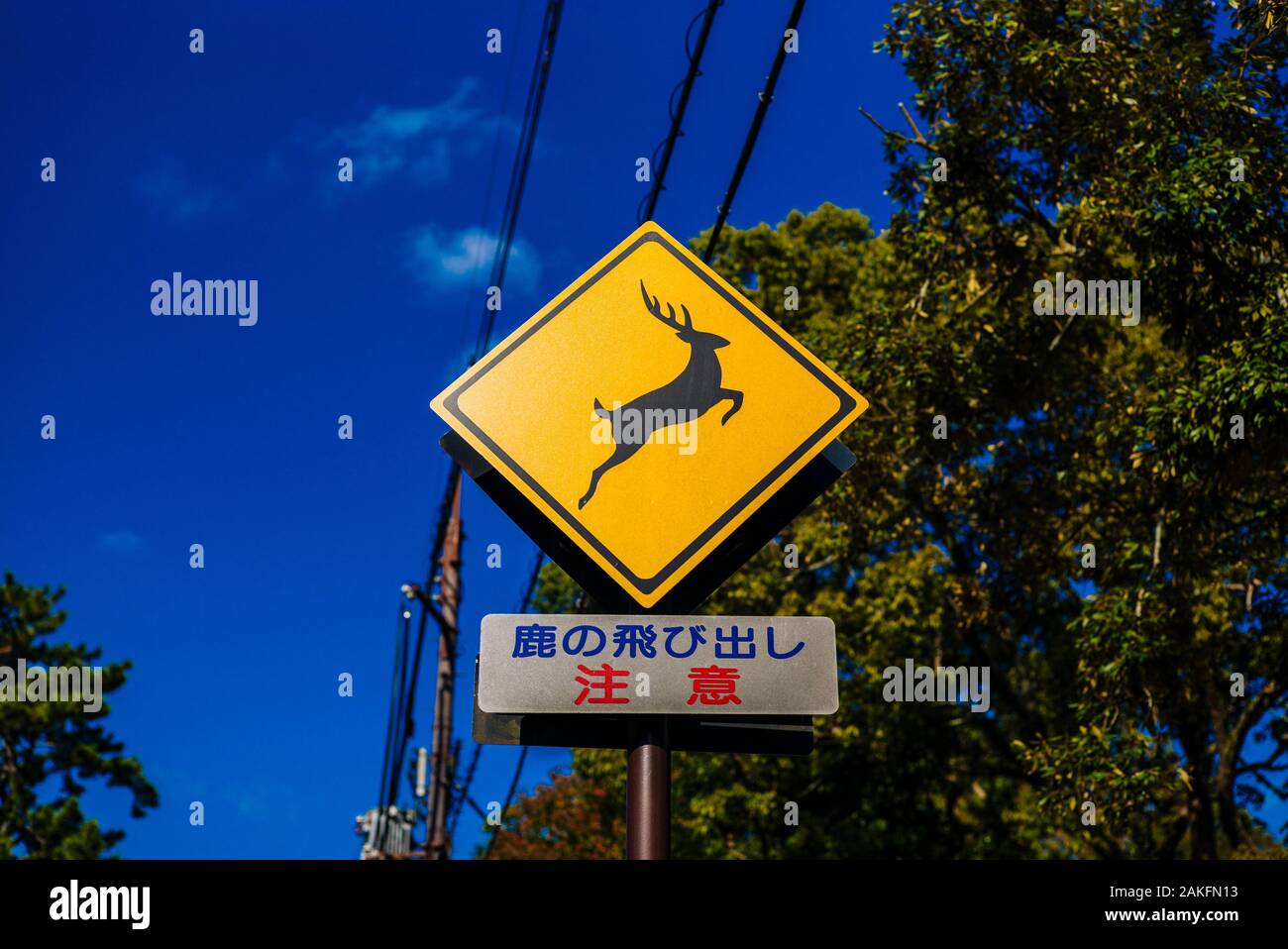 Traffic sign warning of wild deer in Nara, Japan Stock Photo - Alamy