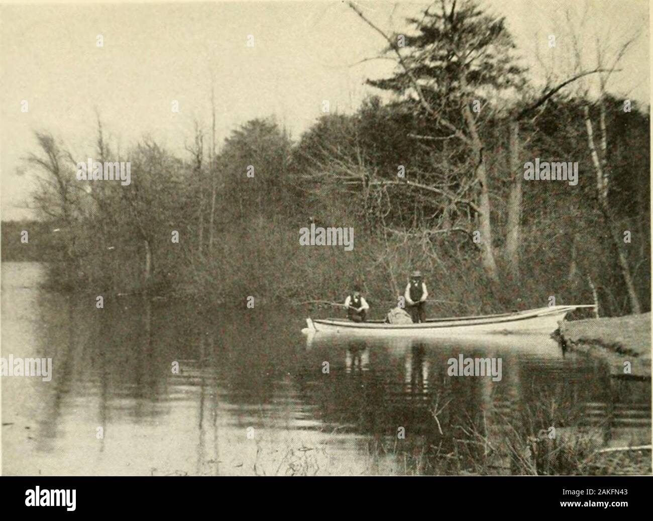 Delaware and the Eastern shore; some aspects of a peninsula pleasant ...