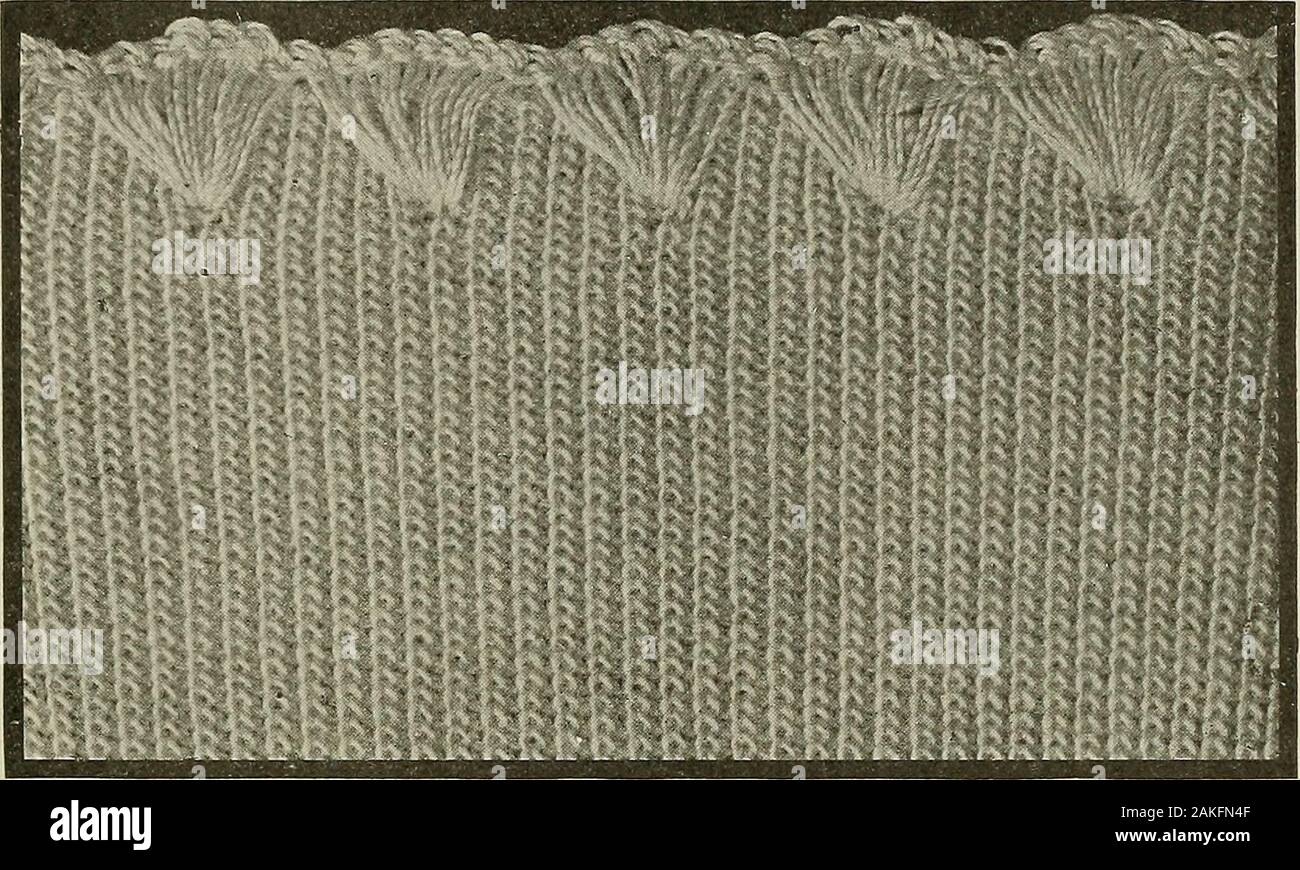 Smaller shell hi-res stock photography and images - Alamy