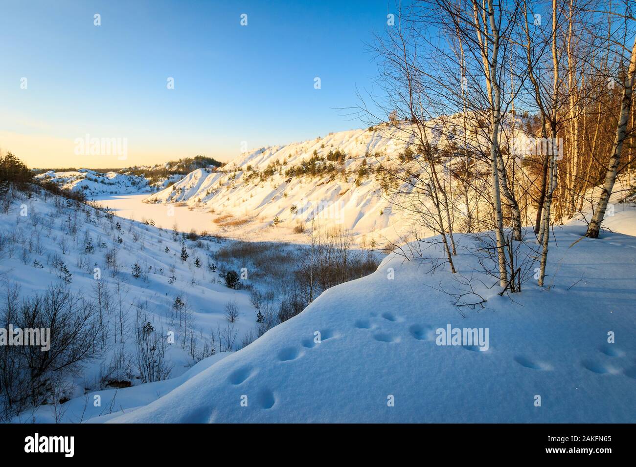 Landscape of hills covered with snow in winter with trees at foreground ...