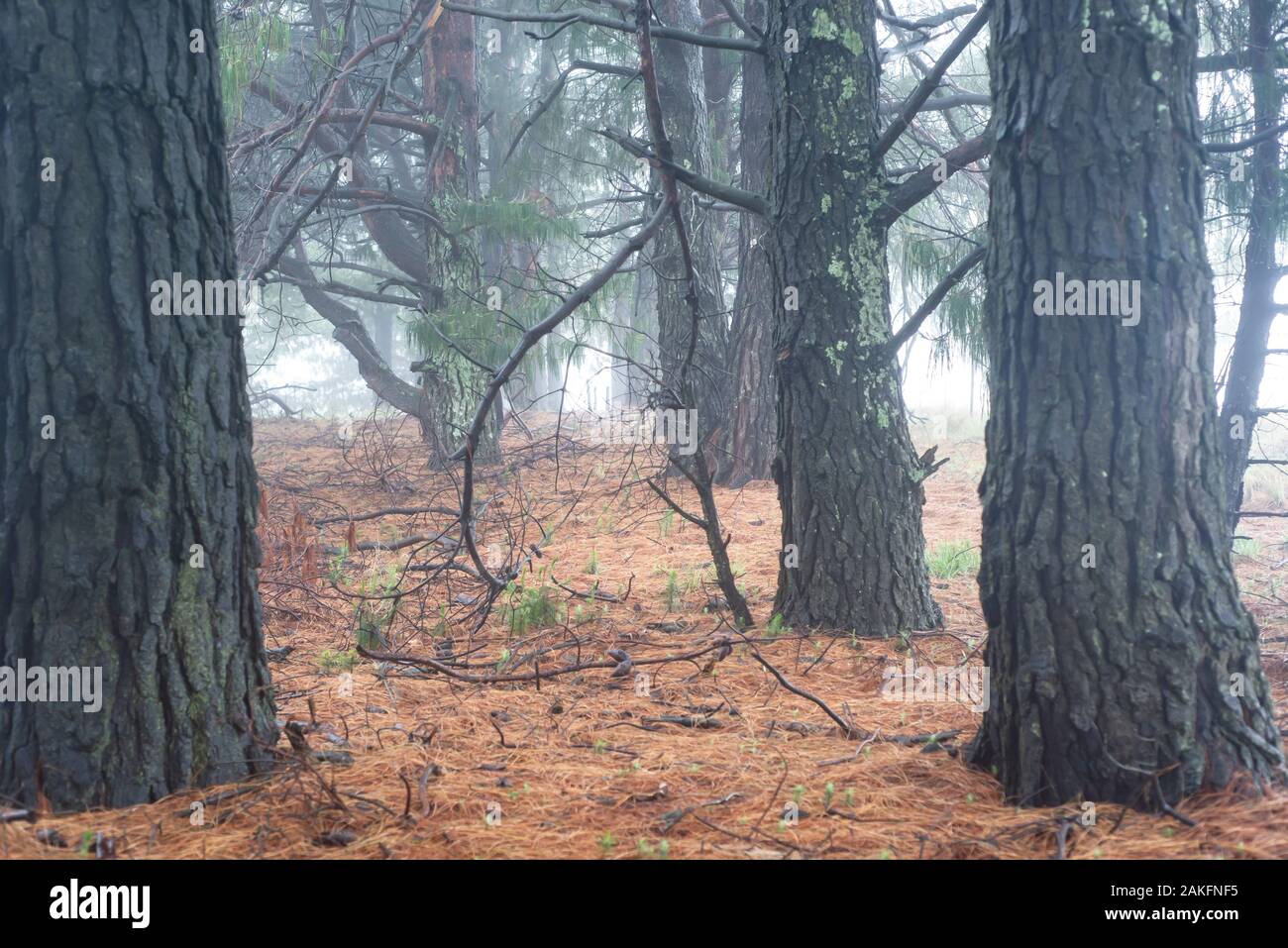 Midlands meander kzn hi-res stock photography and images - Alamy