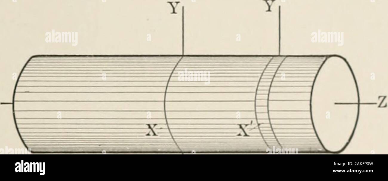 Moment Of Inertia Cross Section