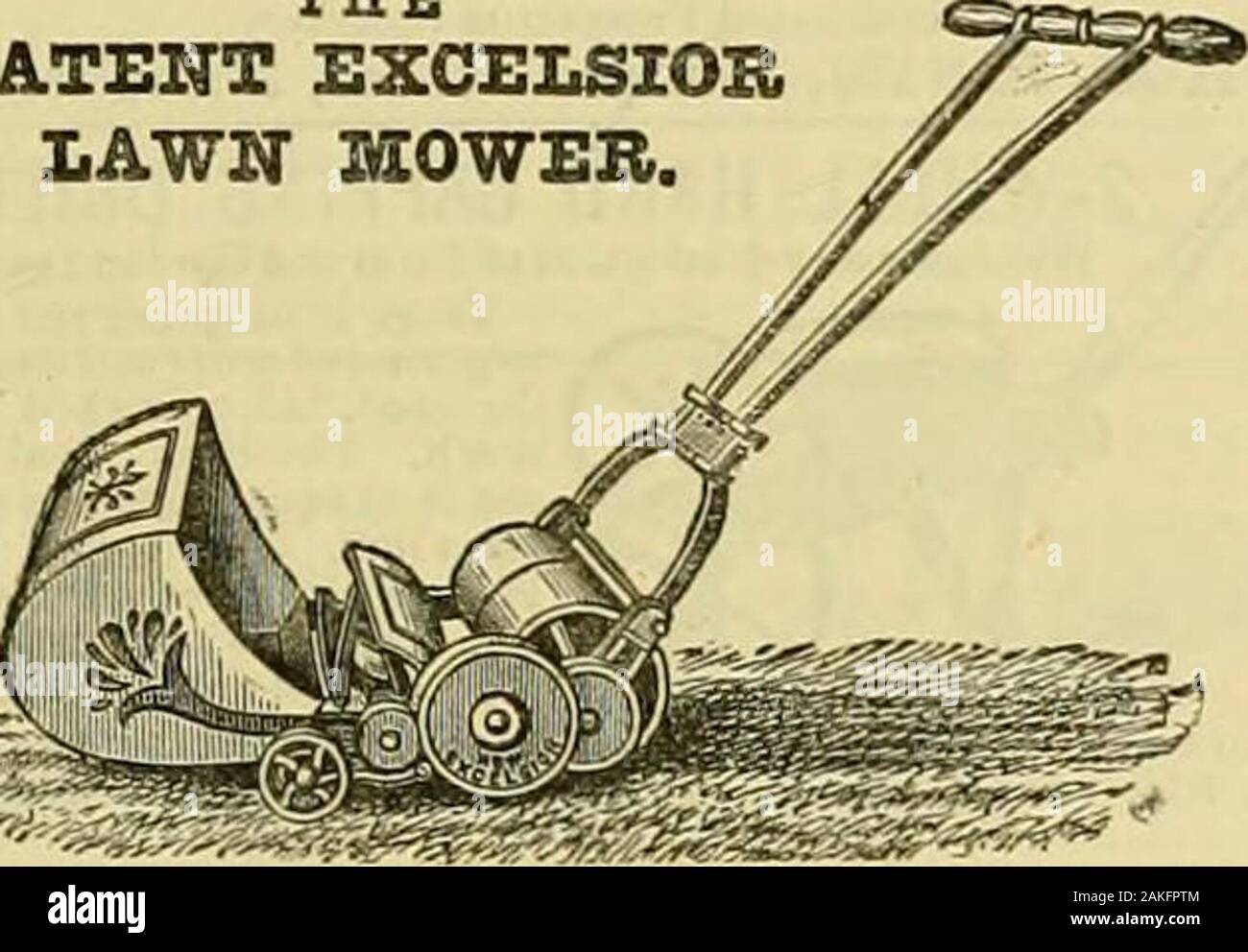 New lawn edge mower hi-res stock photography and images - Alamy