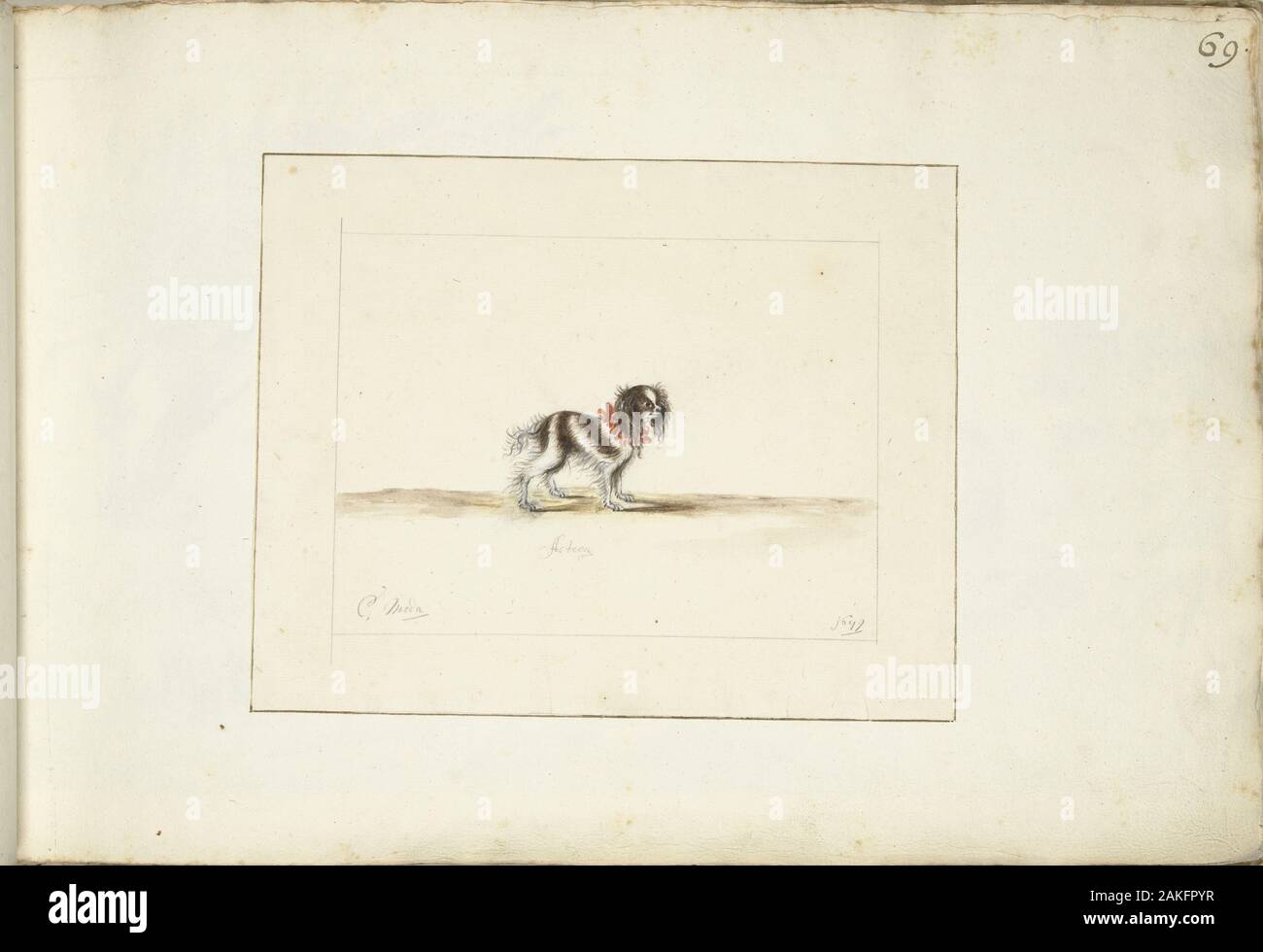 Anna cornelia hi-res stock photography and images - Alamy