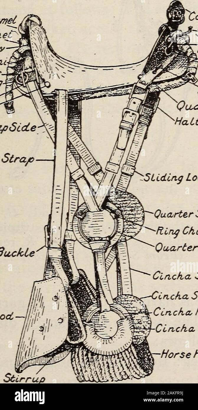 Fuze setter hi-res stock photography and images - Alamy