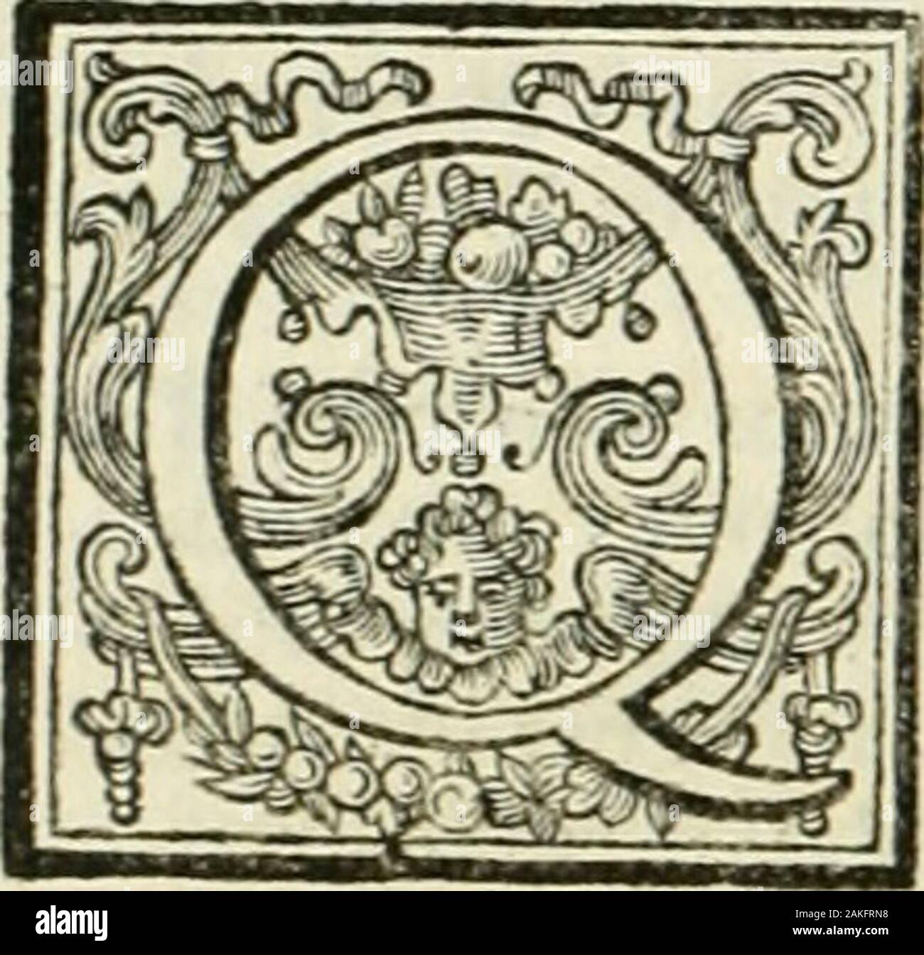 Utrum hi-res stock photography and images - Alamy