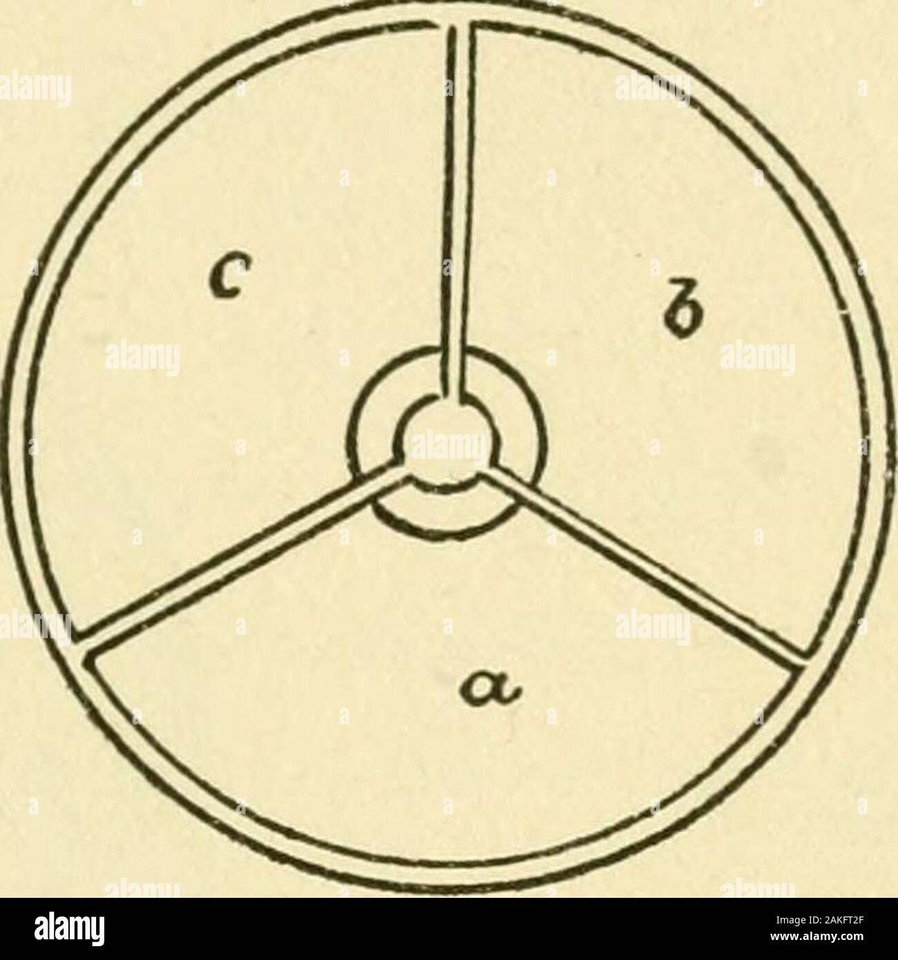 Pattern making and foundry practice; a plain statement of the methods ...