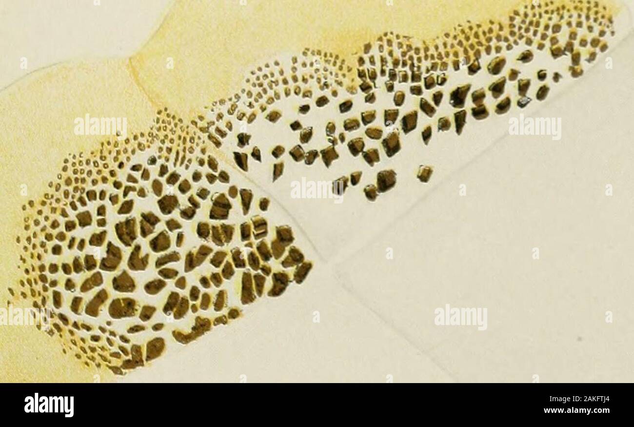 Tin protochloride hi-res stock photography and images - Alamy
