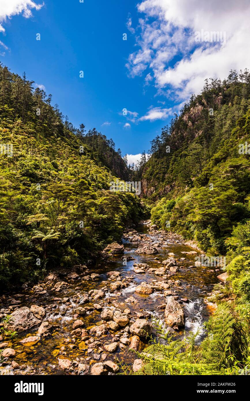 Waitawheta river hi-res stock photography and images - Alamy
