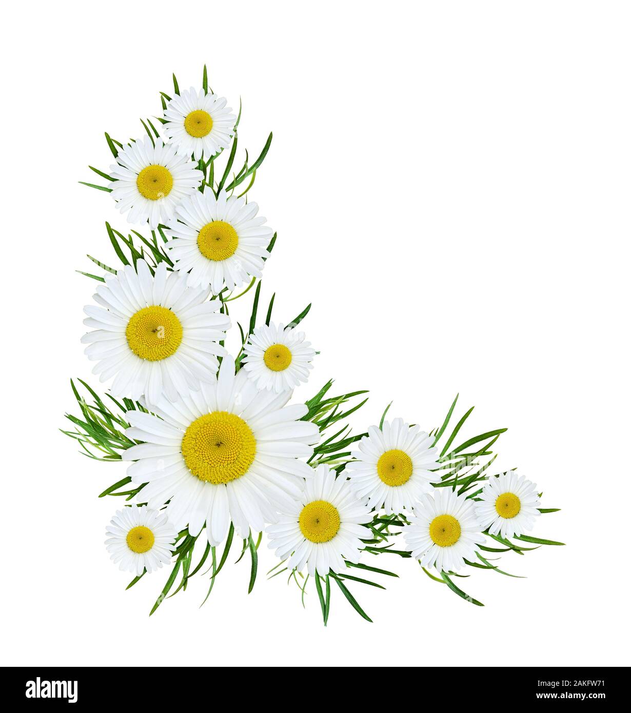 Daisy corner Cut Out Stock Images & Pictures - Alamy