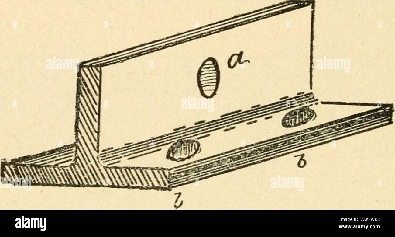 Pattern making and foundry practice; a plain statement of the methods ...