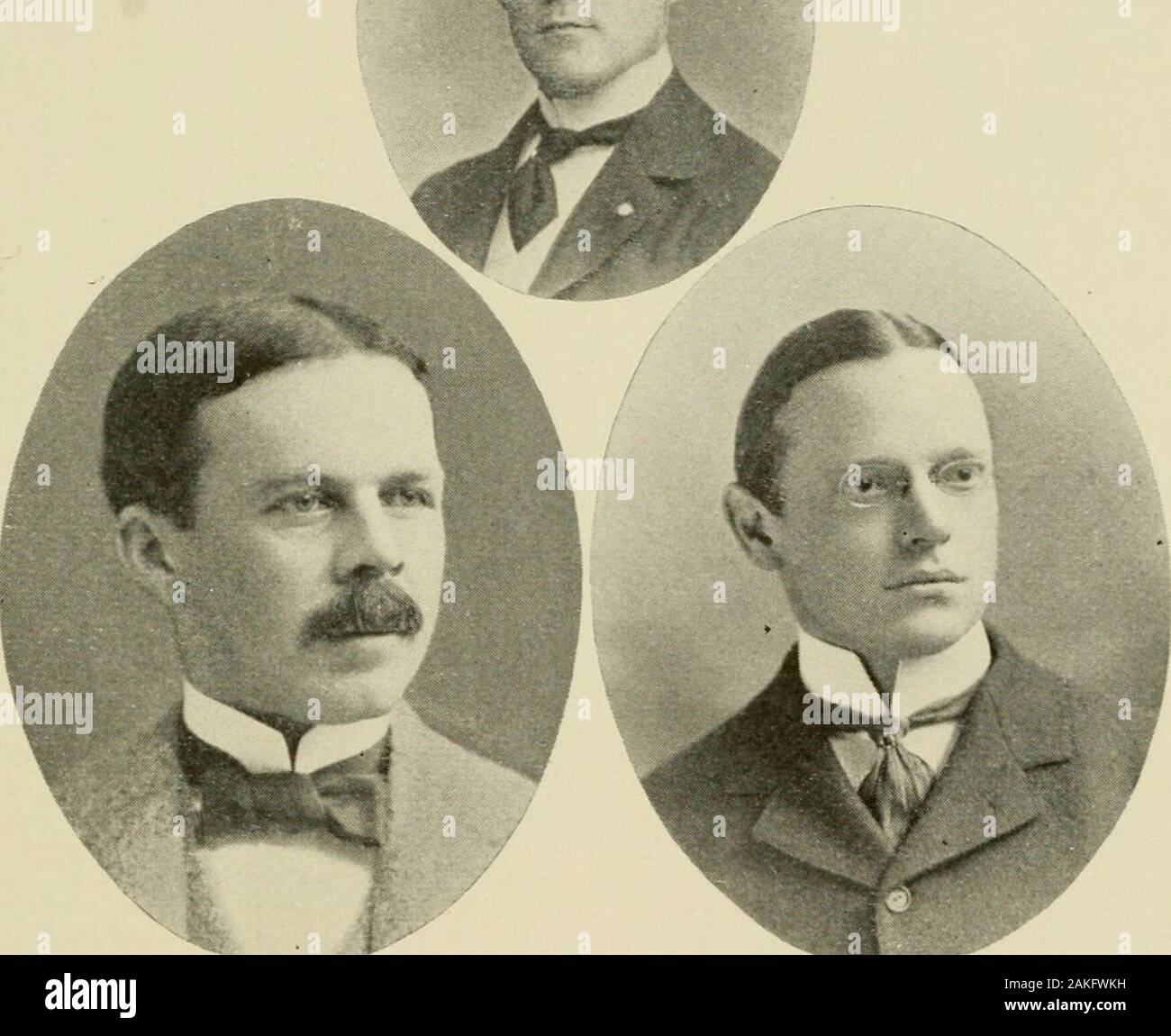 Montgomery pine High Resolution Stock Photography and Images - Alamy