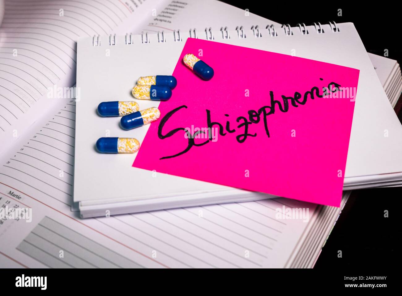 Schizophrenia Writing