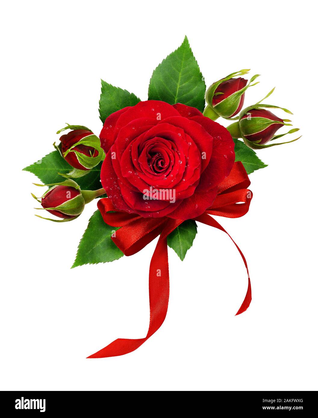Festive arrangement with red rose flower and silk ribbon bow isolated ...