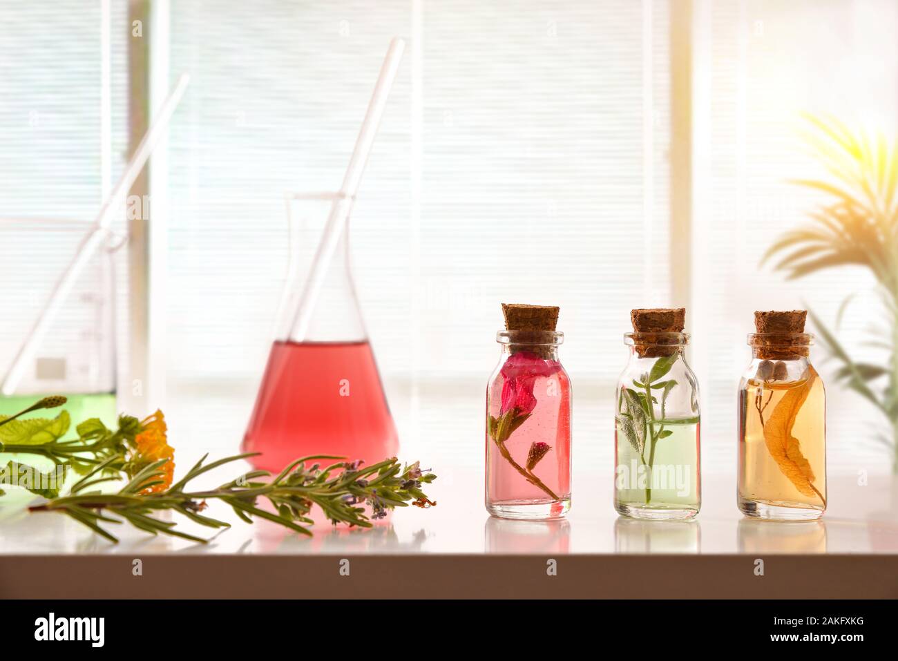 Concept of preparation of natural essences of plants in laboratory with ...