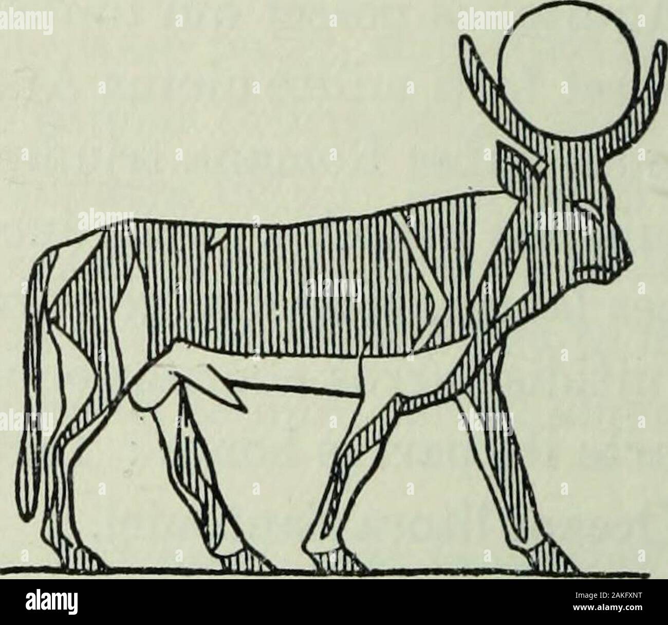 Turribus hi-res stock photography and images - Alamy