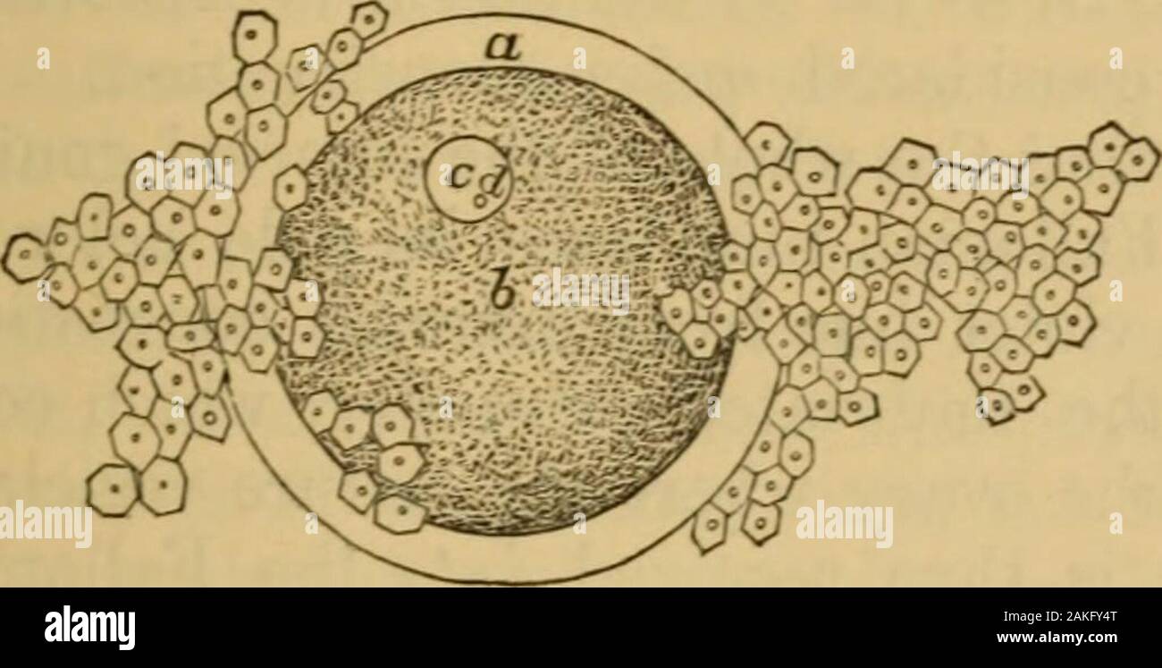 Ulosa hi-res stock photography and images - Alamy