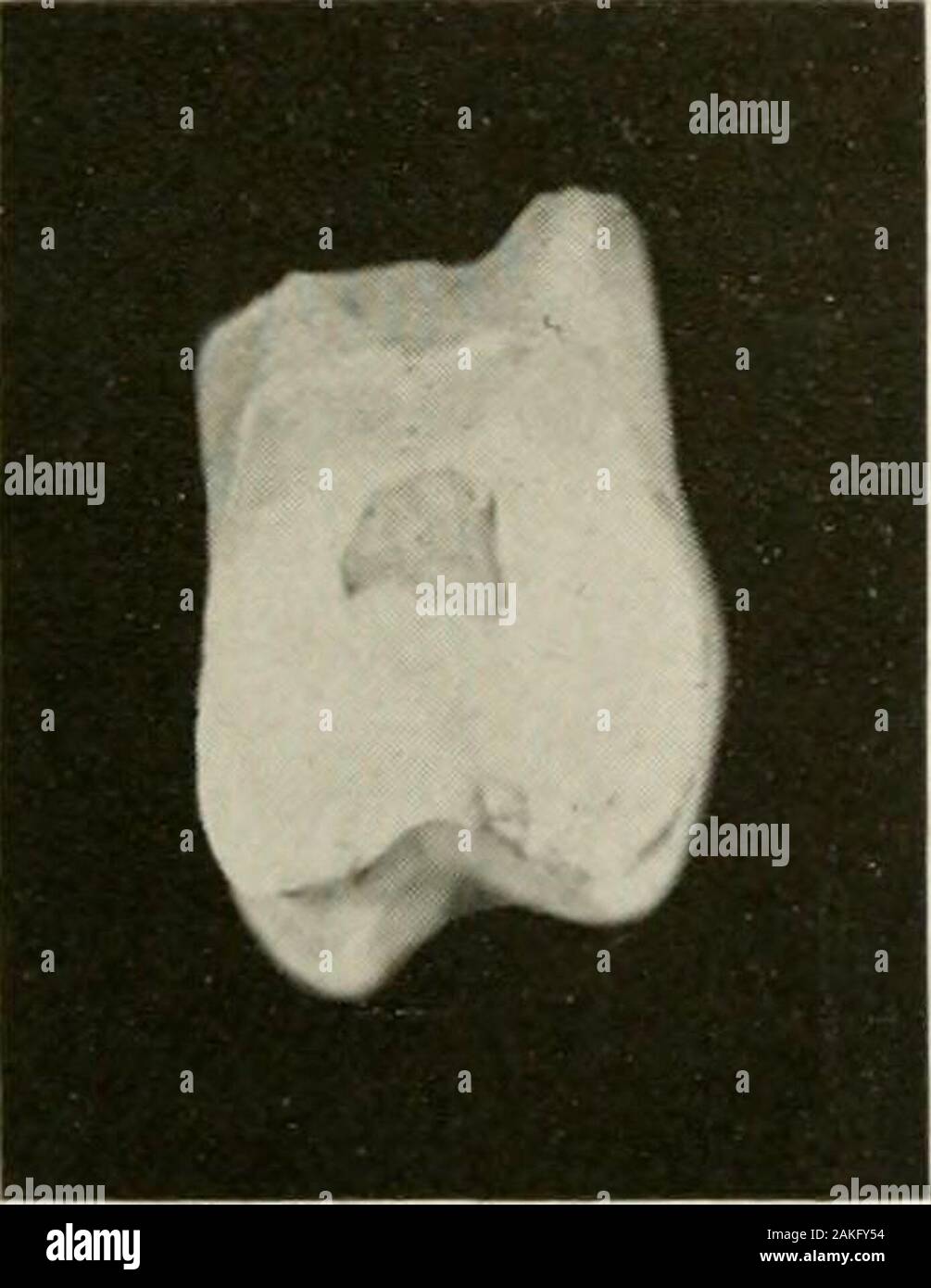 Pulp stones hi-res stock photography and images - Alamy