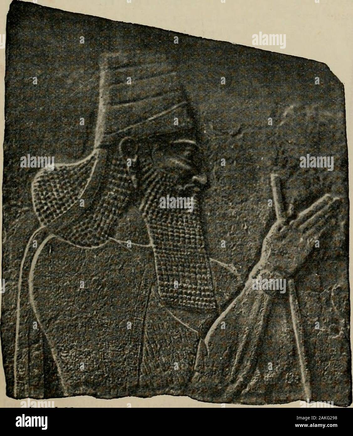 Naphtali bible hi-res stock photography and images - Alamy