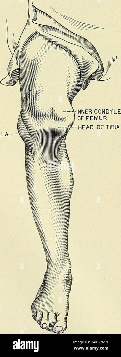 Tated hi-res stock photography and images - Alamy