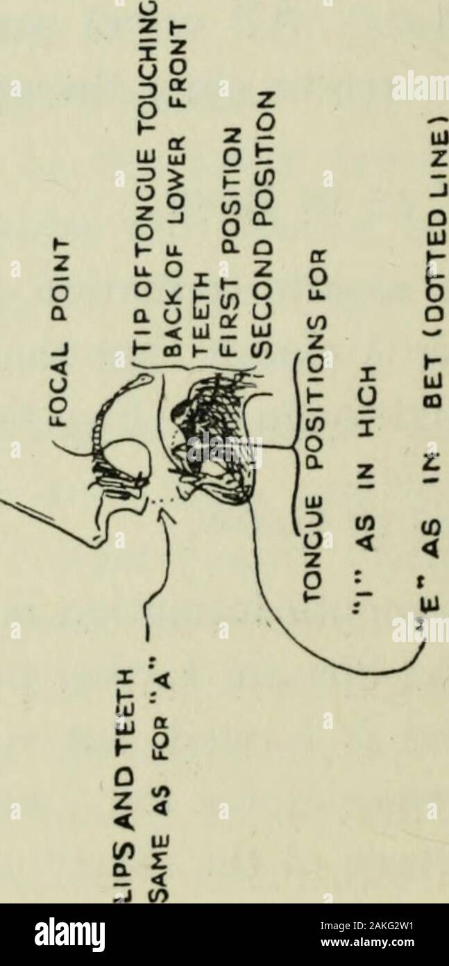 Philosophy of vocal culture : a textbook of vocal training and ...