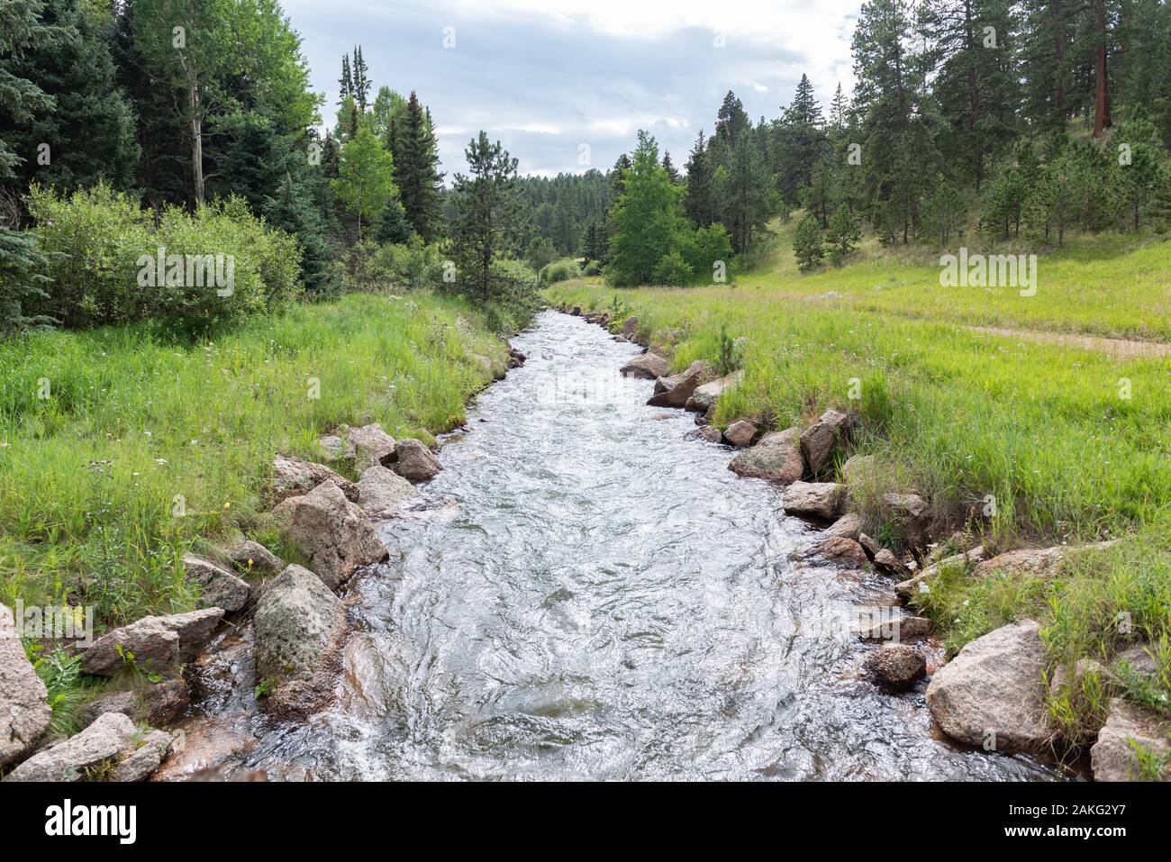 Creek and woods hi-res stock photography and images - Alamy