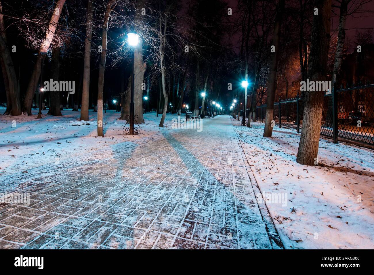Night park in winter with trees, lanterns and fallen snow. Landscape ...