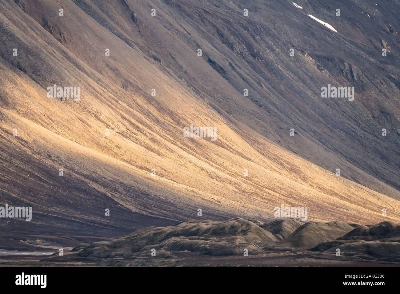 Sunlight spot hi-res stock photography and images - Alamy