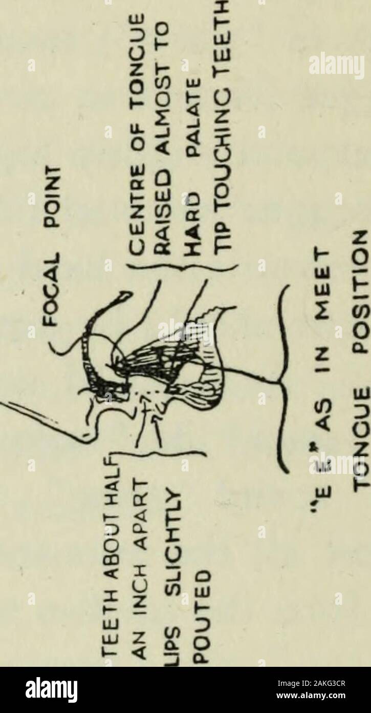 Philosophy of vocal culture : a textbook of vocal training and ...