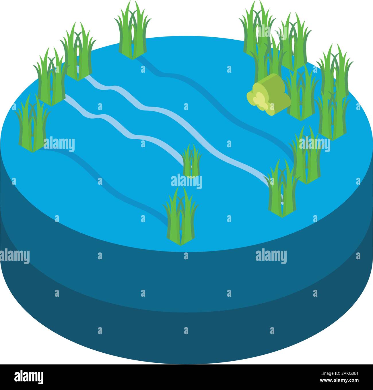 Isometric lake with plants design, Nature element earth eco ecology ...