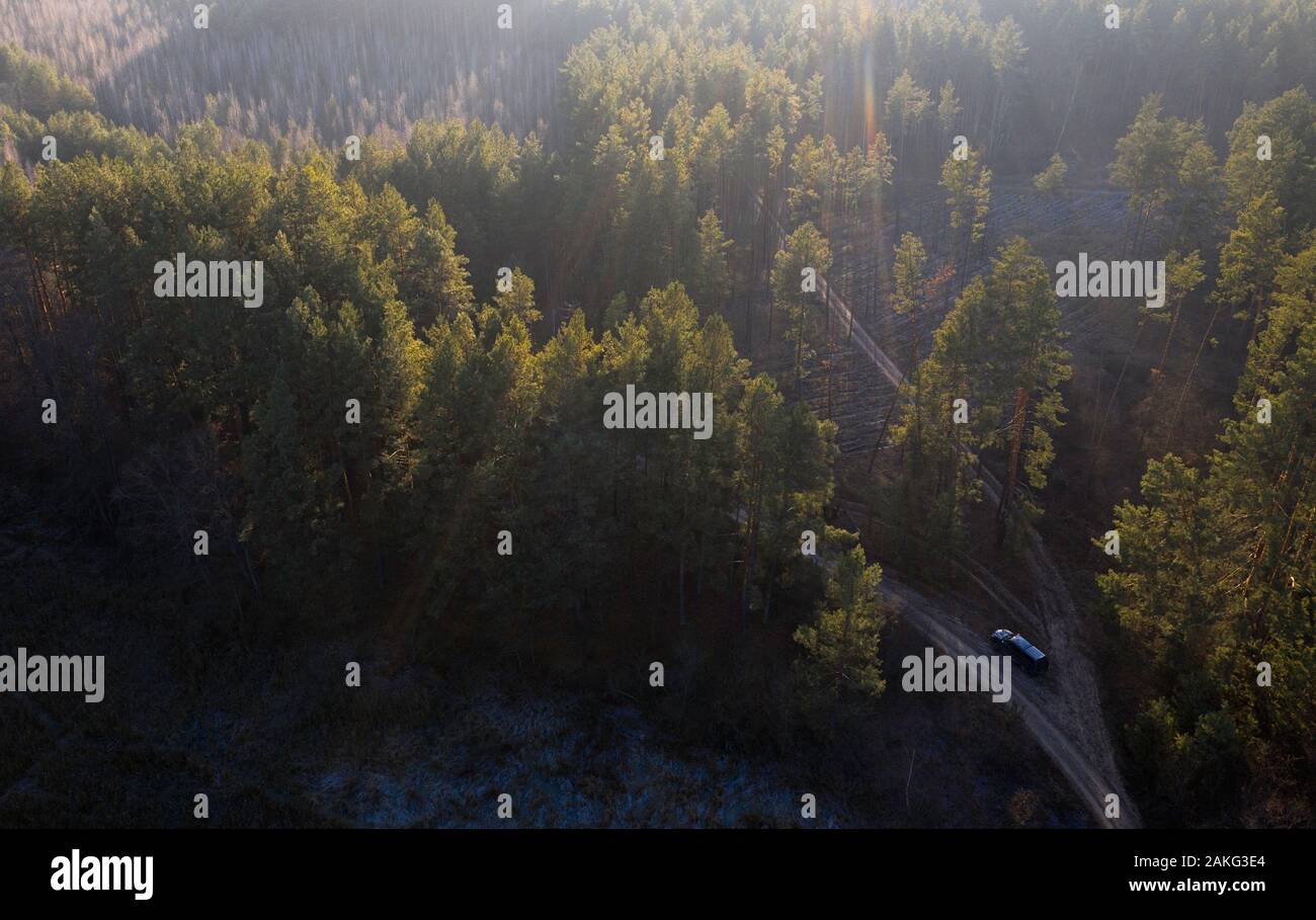 Ukrainian forest hi-res stock photography and images - Alamy