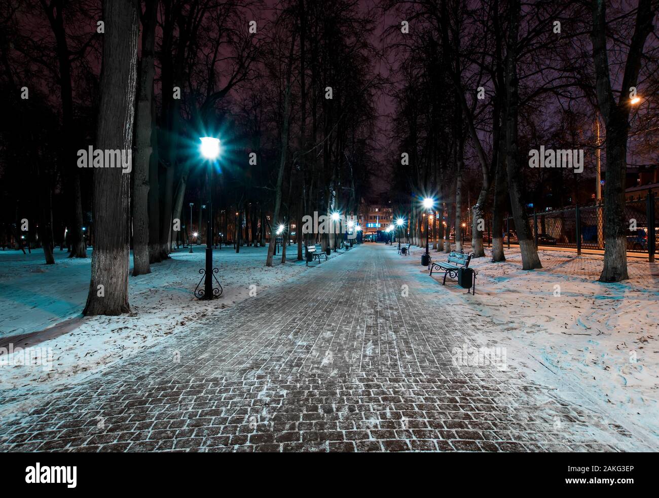Night park in winter with trees, lanterns and fallen snow. Landscape ...