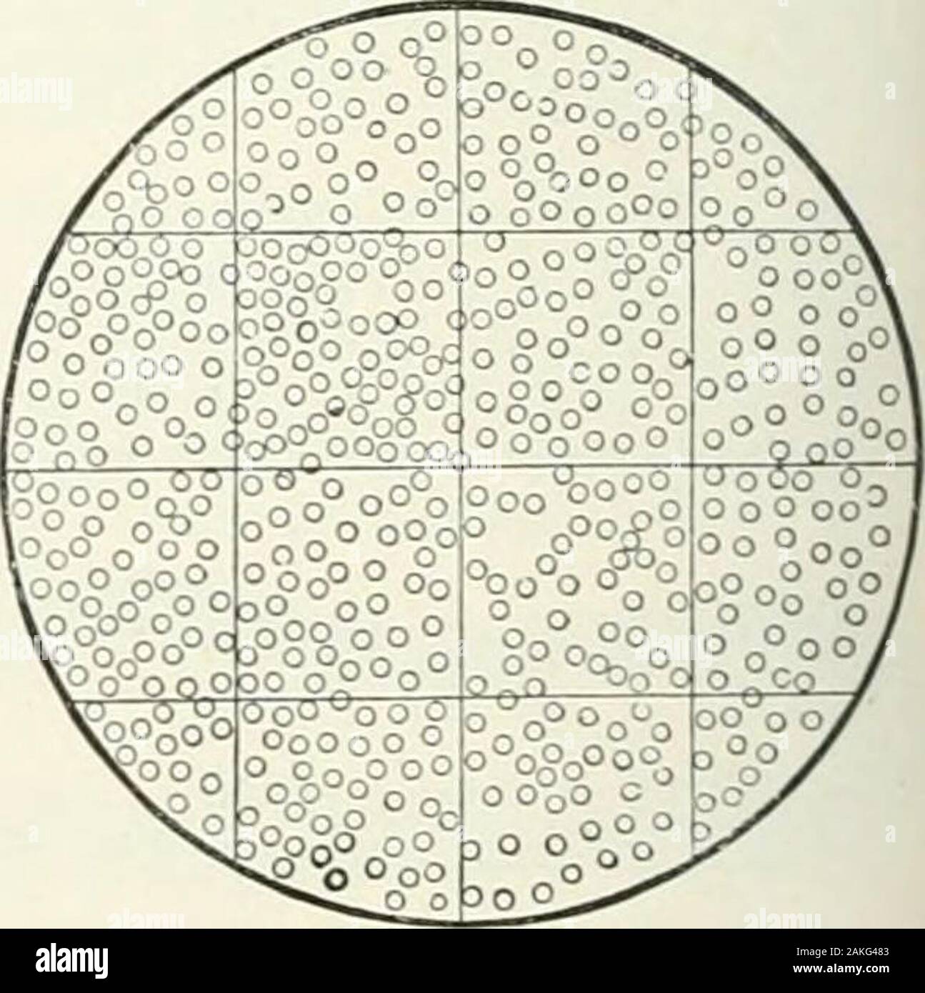 Diluting blood hi-res stock photography and images - Alamy