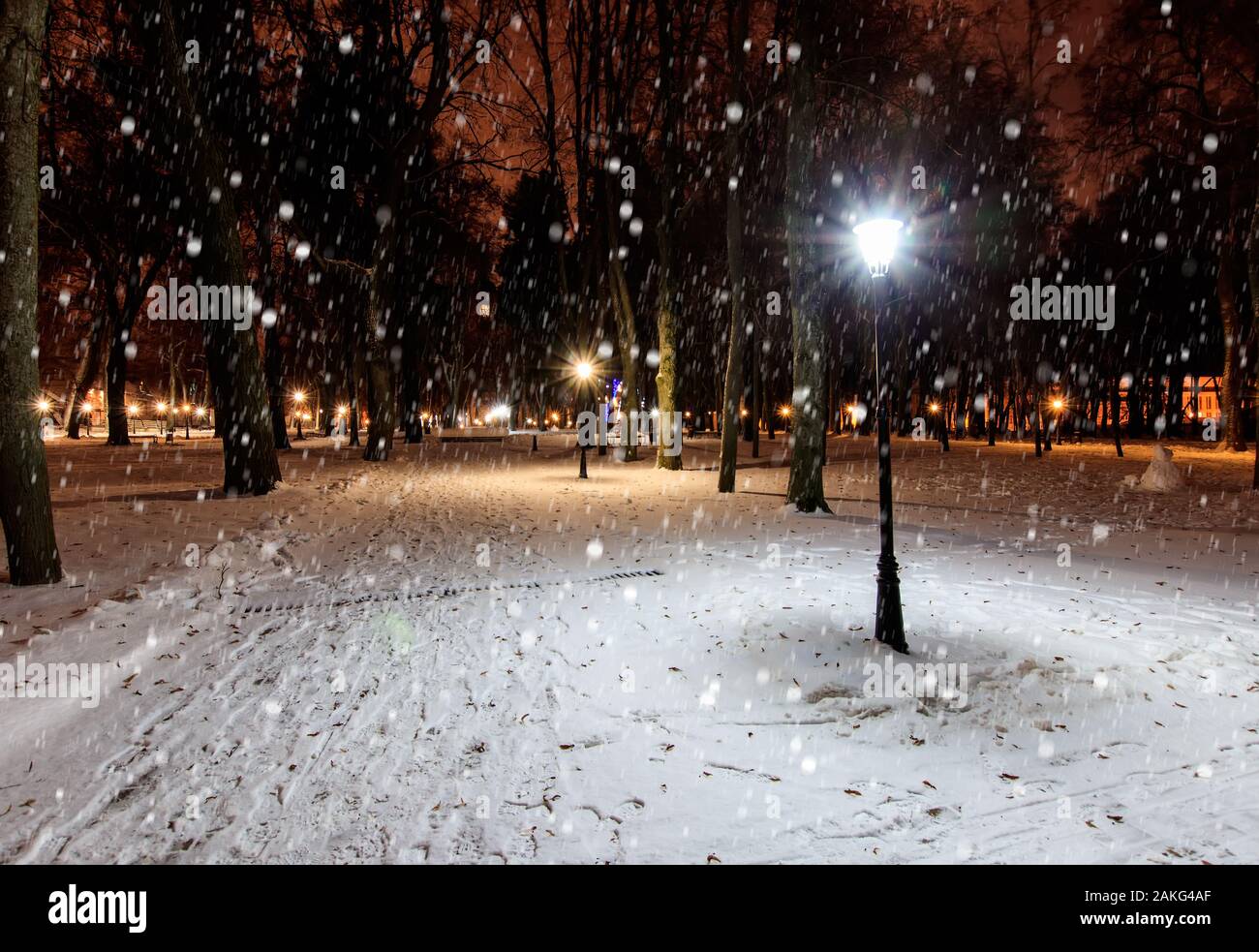 Night park in winter with trees, lanterns and falling snow. New Year's ...